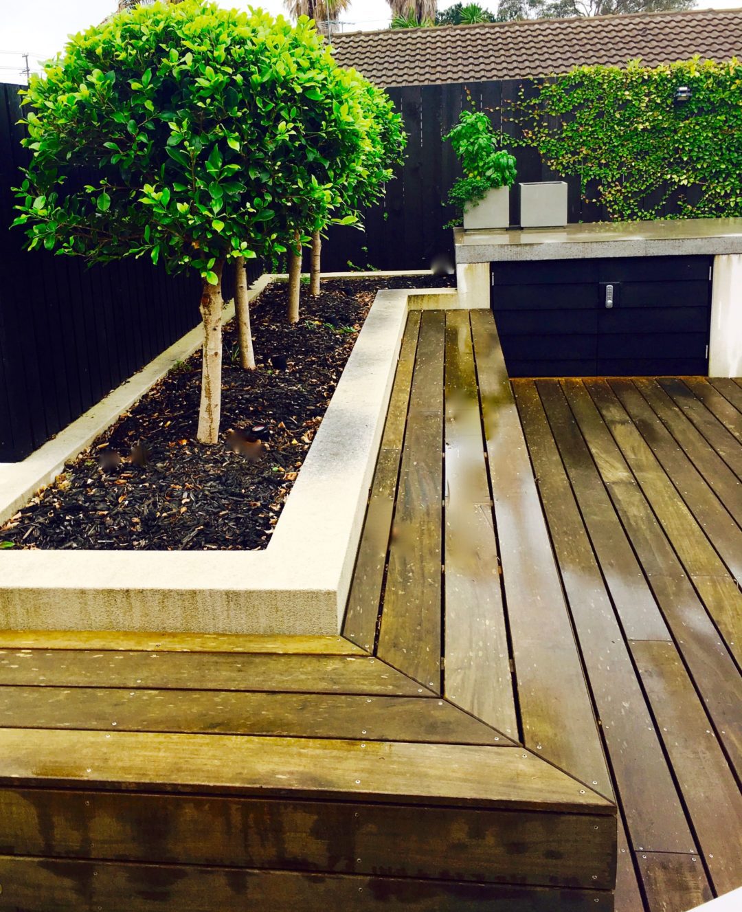 CARDINAL PLACE - Kirsten Sach Landscape Design Ltd.